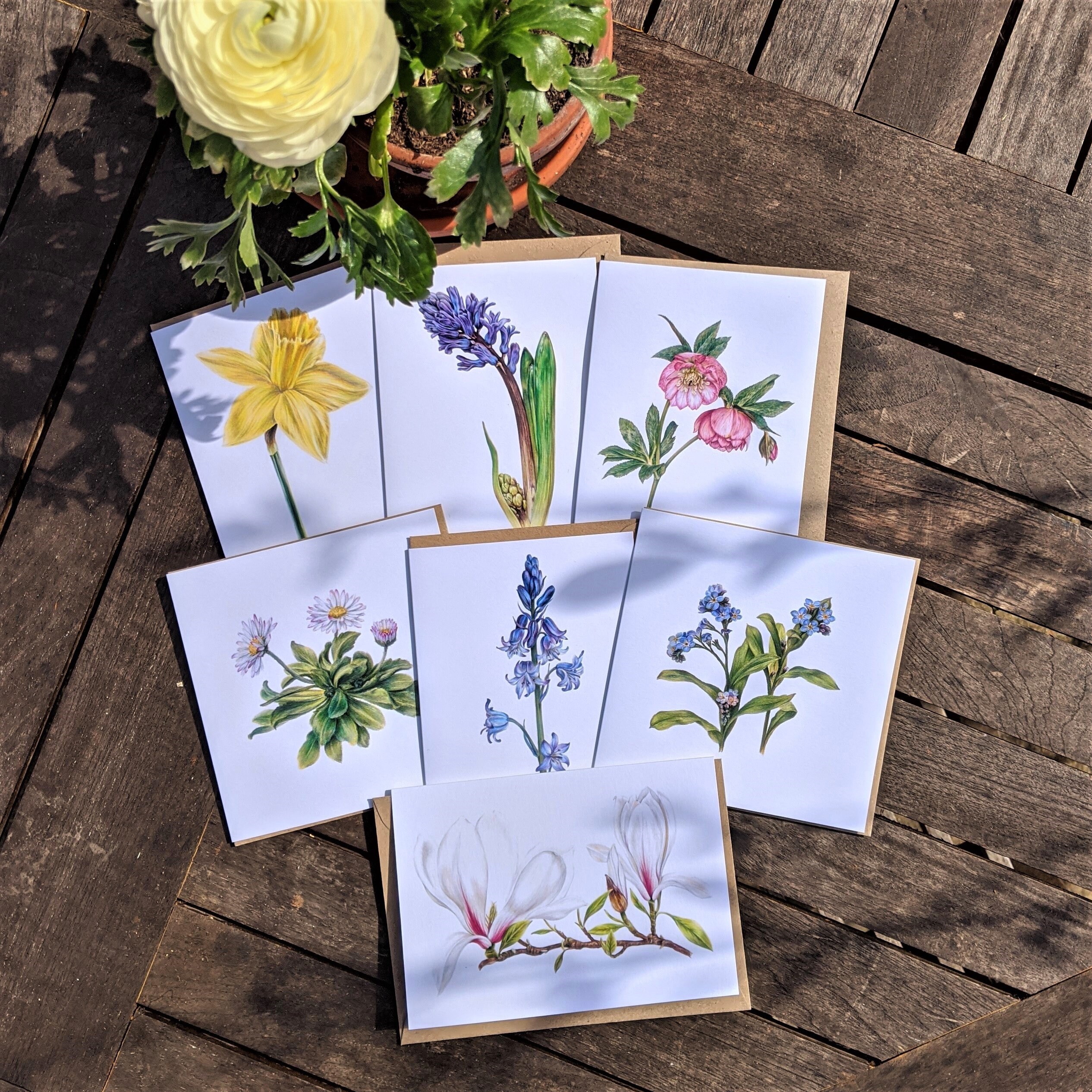 Magnolia Card / Botanical Flower Card / Spring Flowers /floral Greeting ...