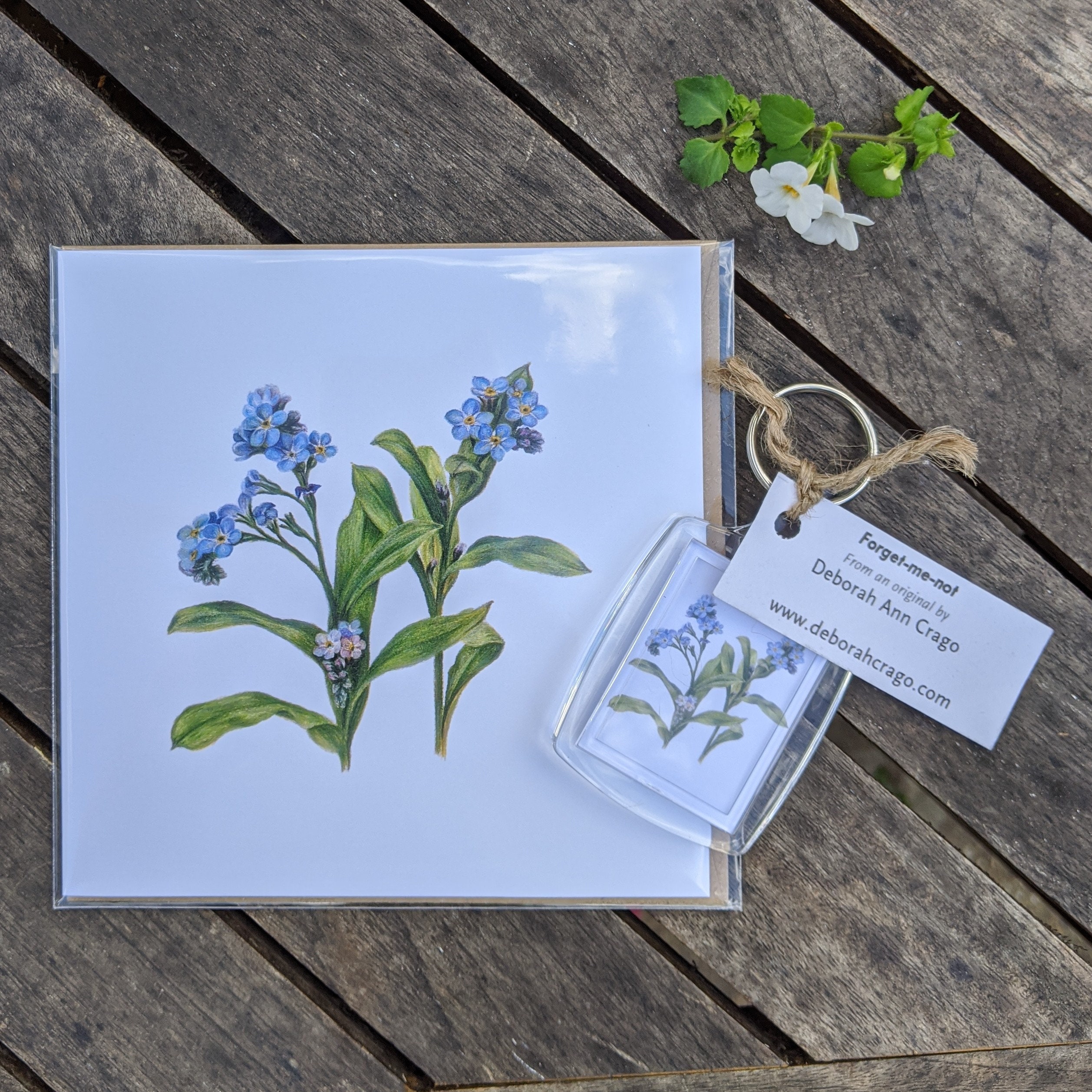 Forget-me-not Card / Forget-me-not Botanical Flower Card / Blank Floral ...