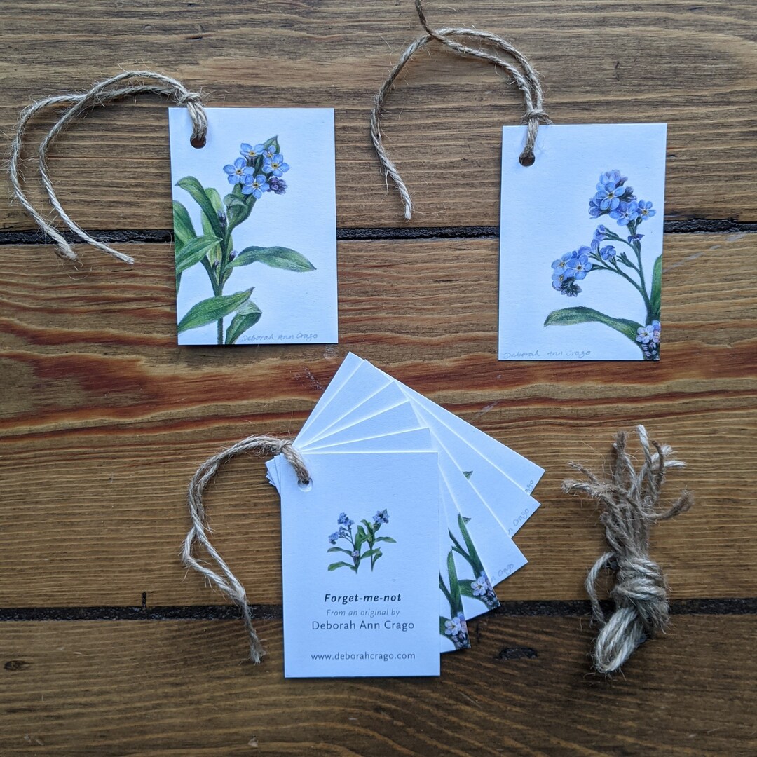 Set of 6 Forget-me-not Gift Tags / Botanical Gift Tags / Blank - Etsy