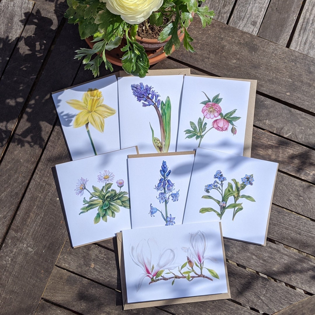 Spring Flower Card Selection / 7 Botanical Spring Flower Cards - Etsy