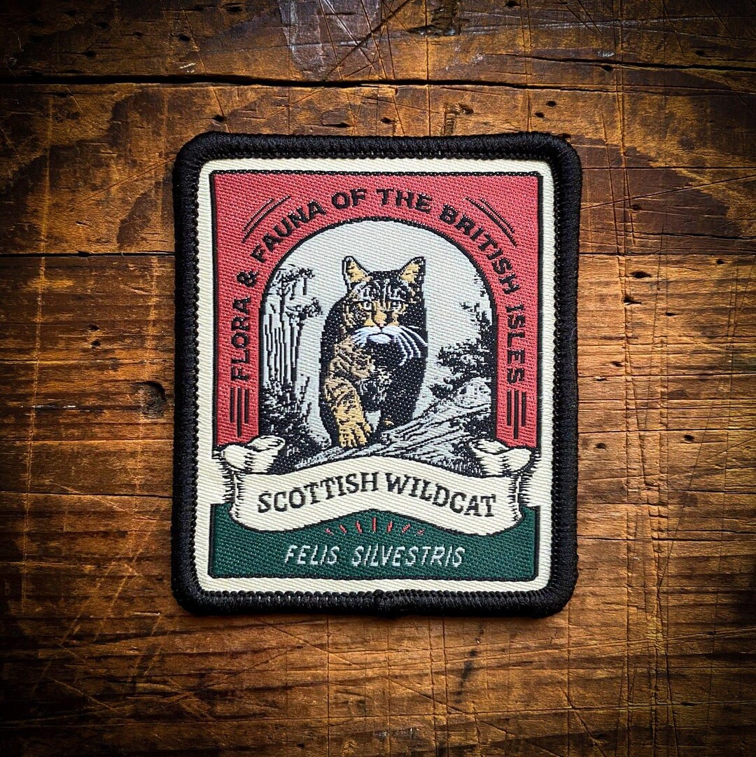 Scottish Wildcat Patch - Etsy