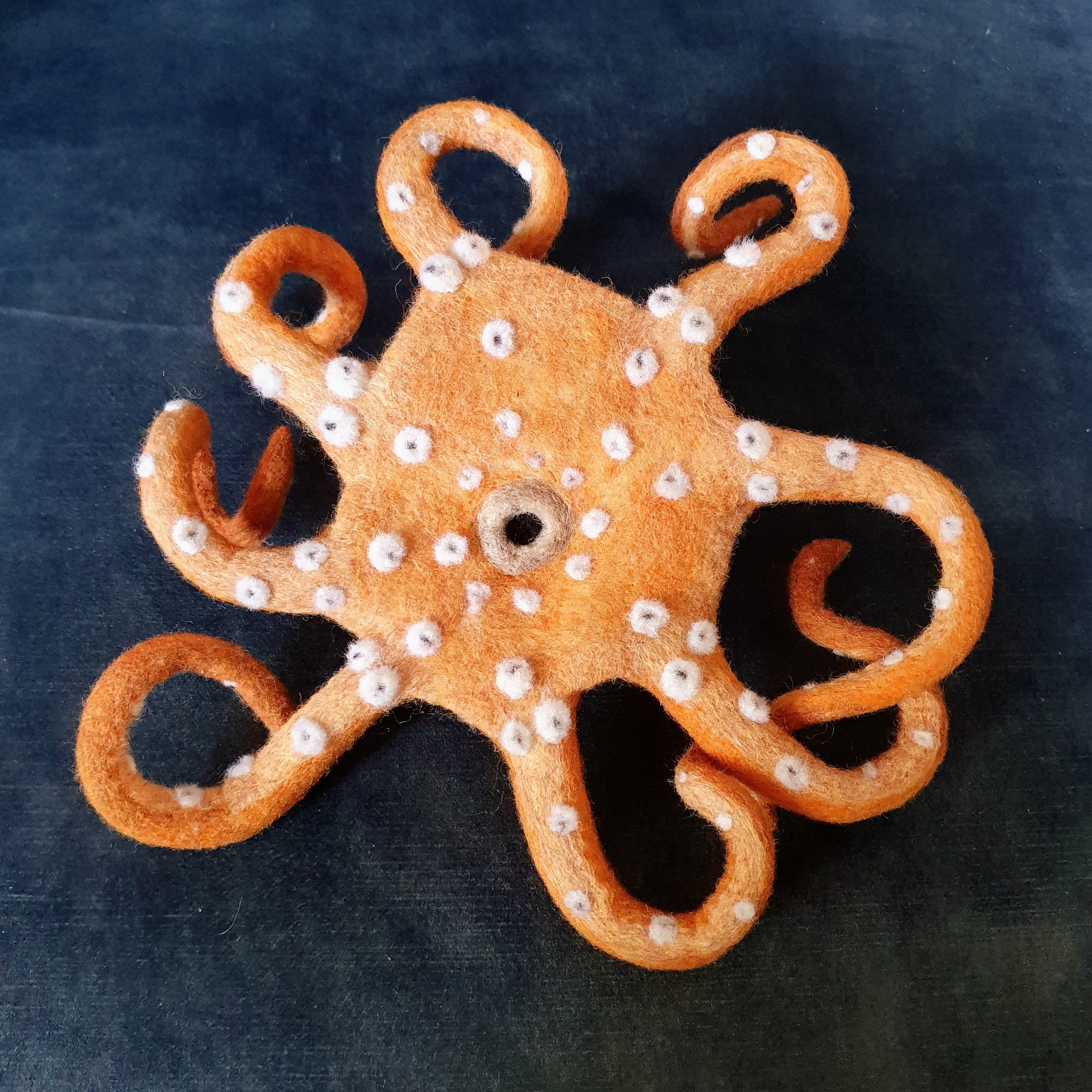 Unique Needle Felted Octopus Sculpture Quirky Cephalopod Art for Ocean ...