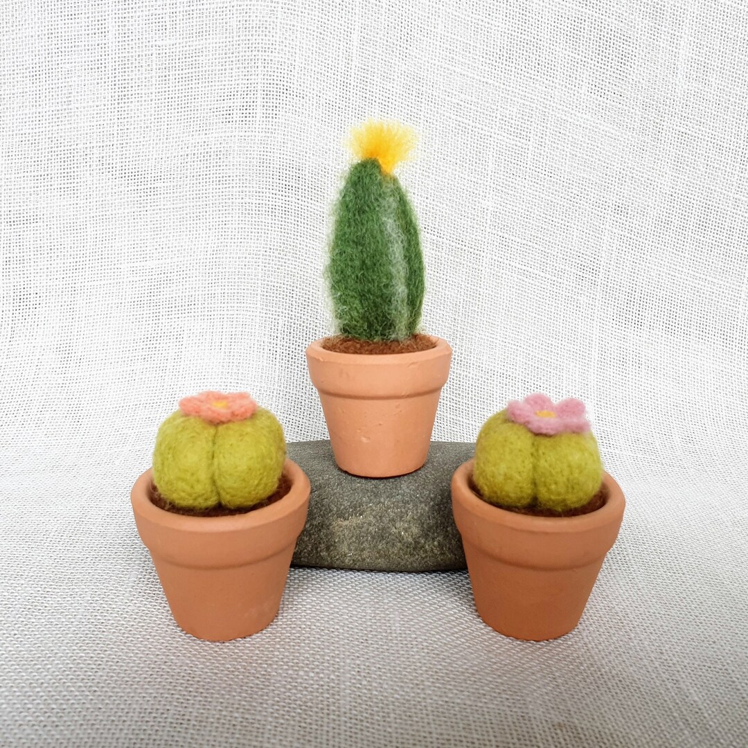 Needle Felted Cactus Plant - Artificial Houseplant - Mini Succulent ...