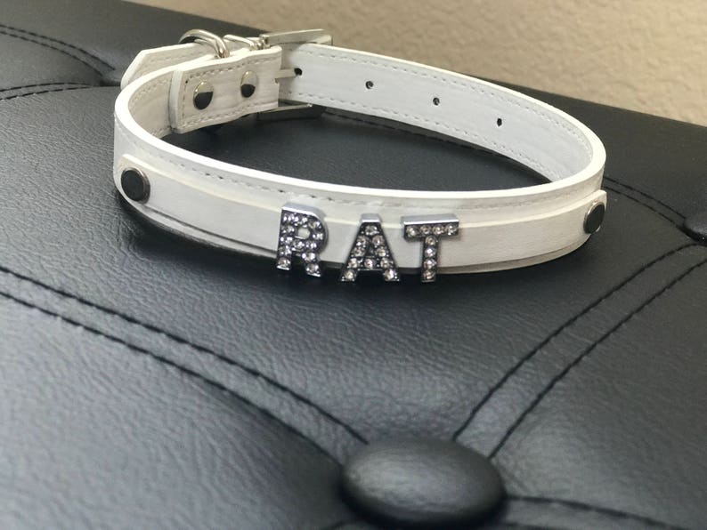 RAT Collar - Etsy