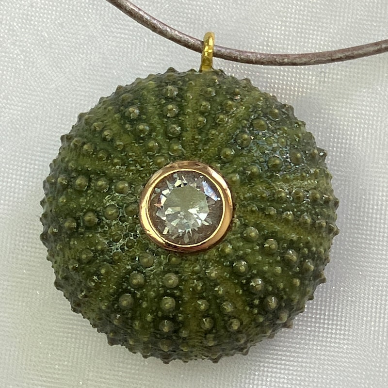 Urchin - Etsy