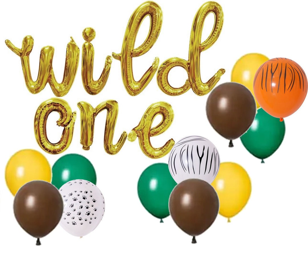 Wild One Balloons Banner 1st Birthday Balloon Garland Party Decorations ...
