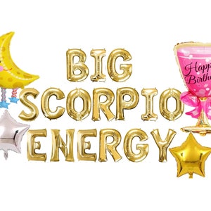 BIG Scorpio ENERGY 21st Birthday Decorations, Big Scorpio Energy ...