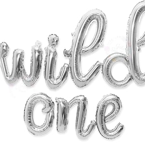 Wild One Balloons Banner 1st Birthday Balloon Garland Party Decorations ...