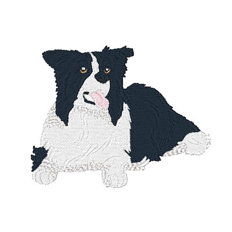 DESIGN SET: Pes-realistic Border Collie Embroidery Design, Machine ...