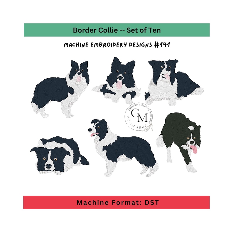 Dst-realistic Border Collie Dogs, Machine Embroidery Designs, Set of ...