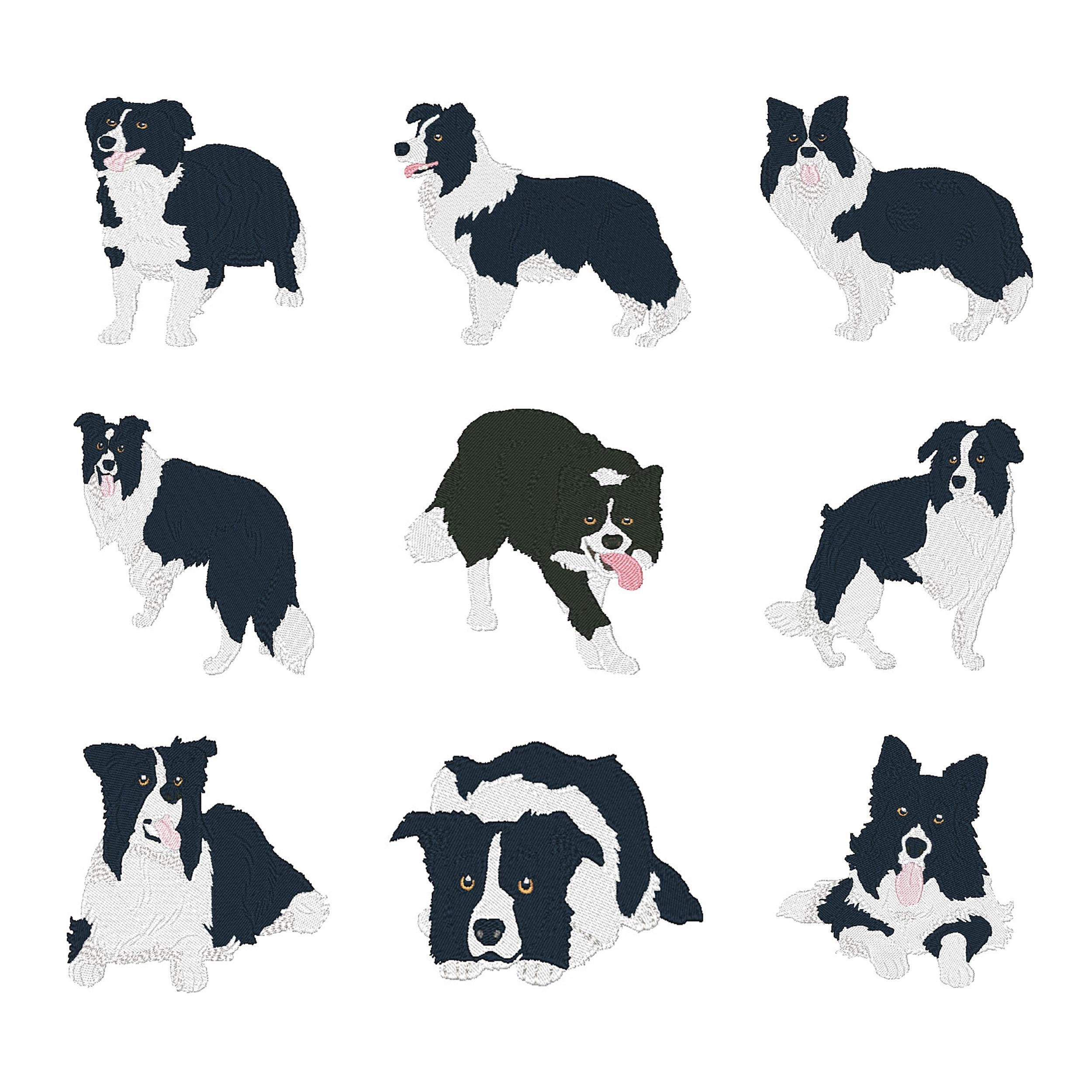 Embroidery Designs Realistic Border Collie Collie Dog - Etsy Australia
