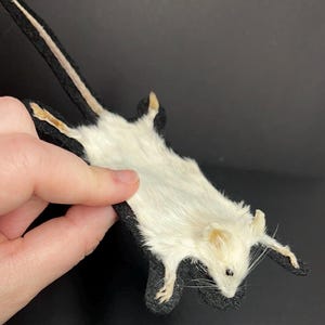 MADE TO ORDER: Mouse Rug - Etsy