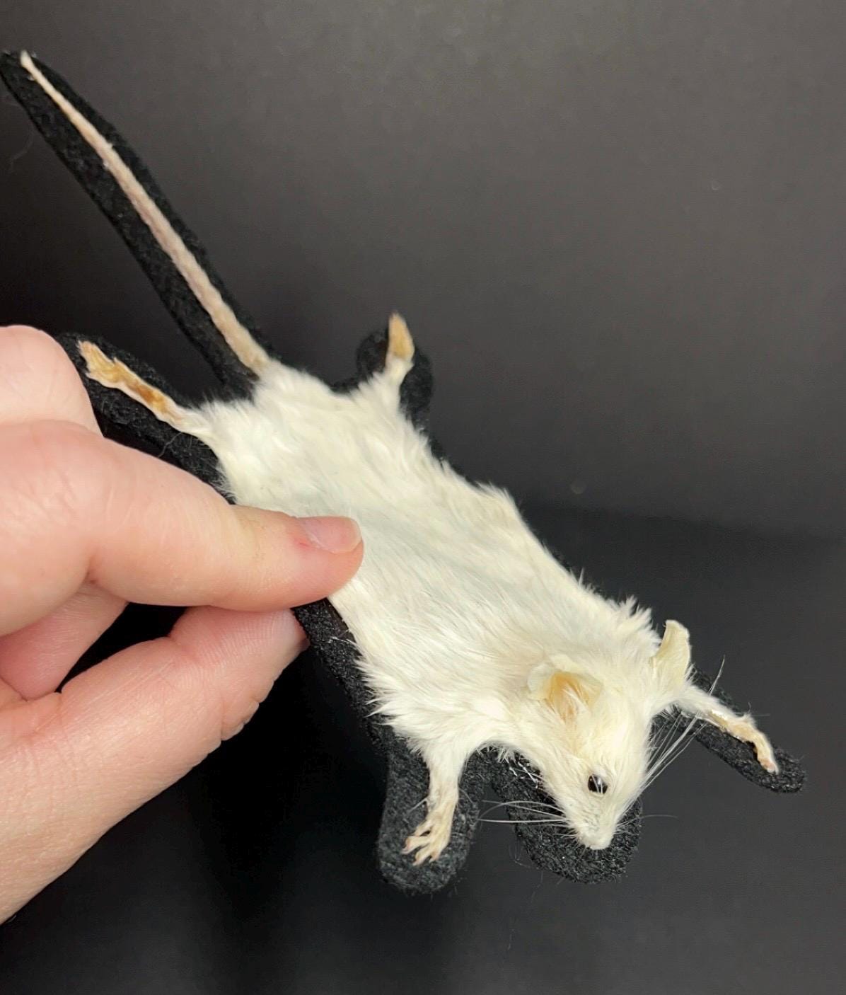 MADE TO ORDER: Mouse Rug - Etsy