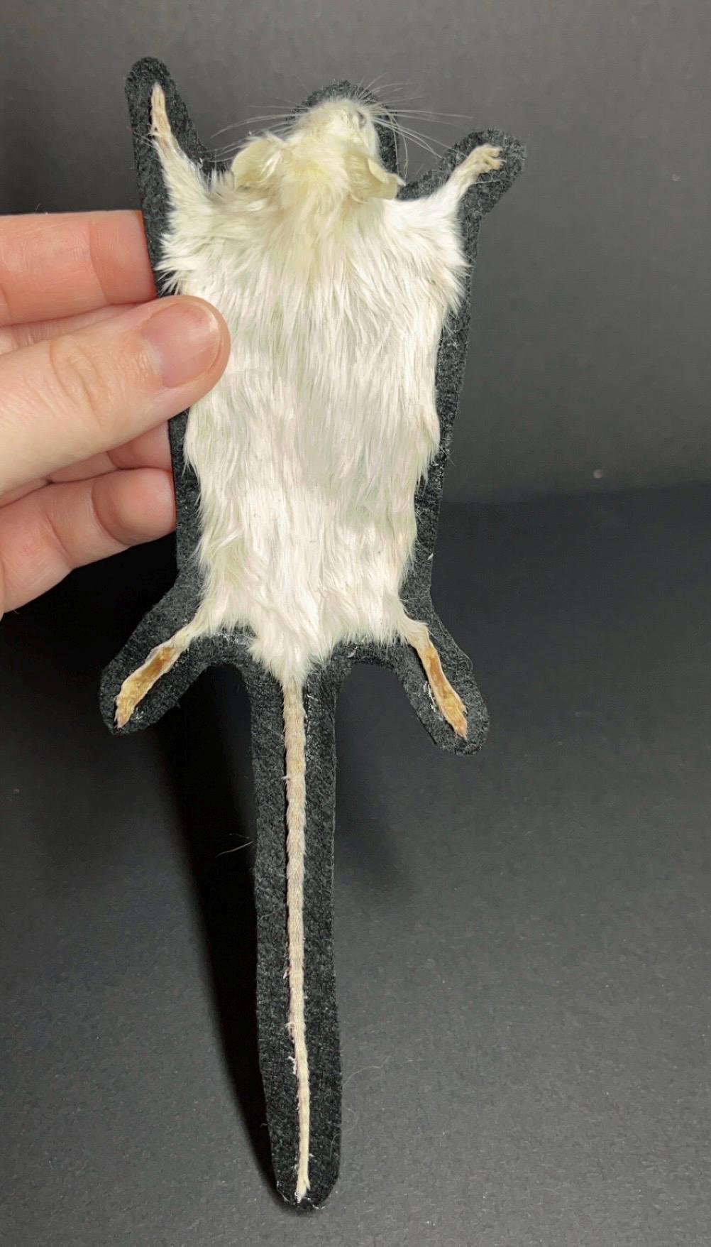 MADE TO ORDER: Mouse Rug - Etsy