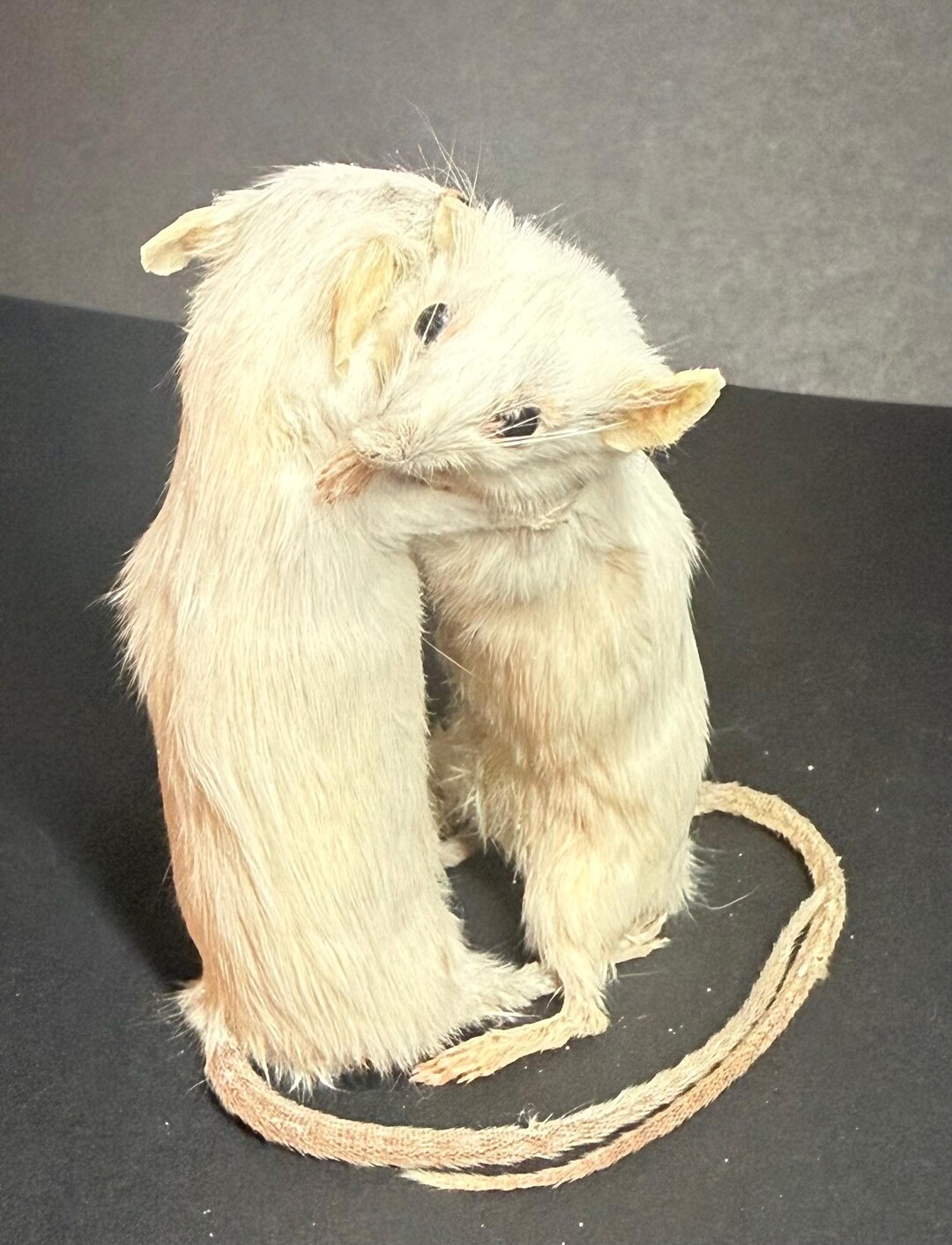 MADE TO ORDER: Hugging Mice - Etsy