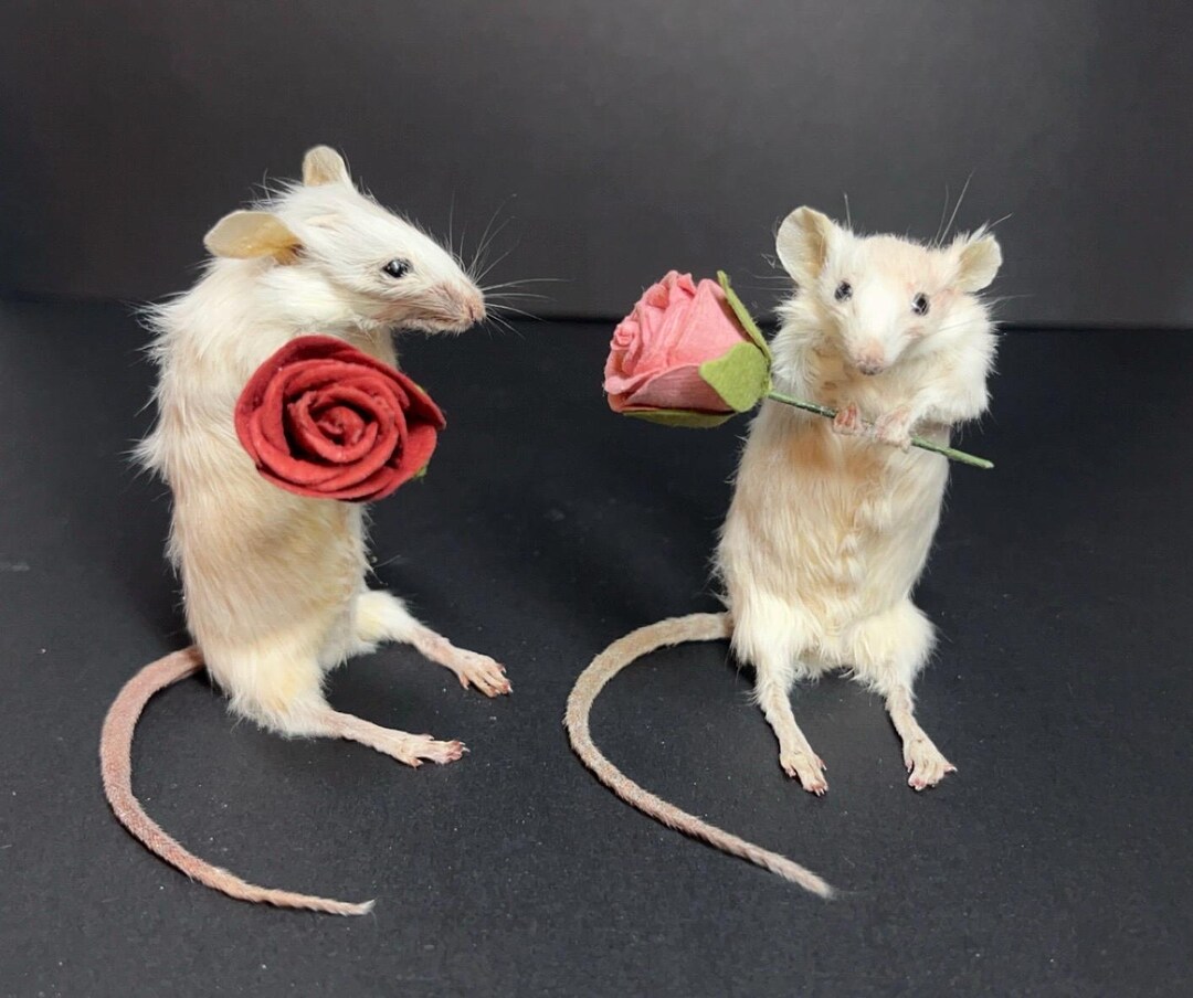 MADE TO ORDER: Mini Mice - Etsy