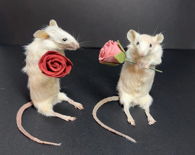 Taxidermy Mouse Pope Francis - Etsy UK