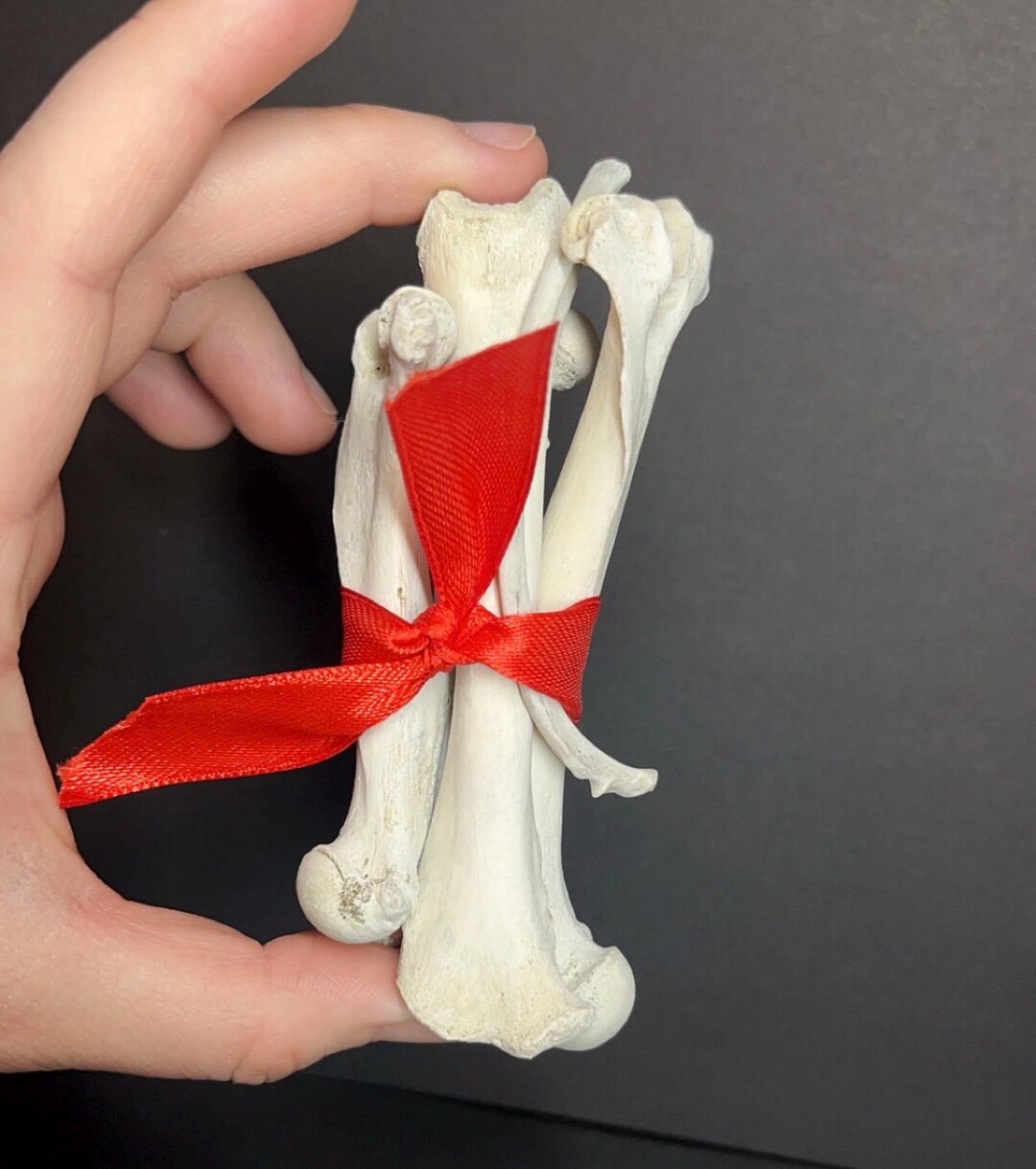 Bundle of Bones - Etsy