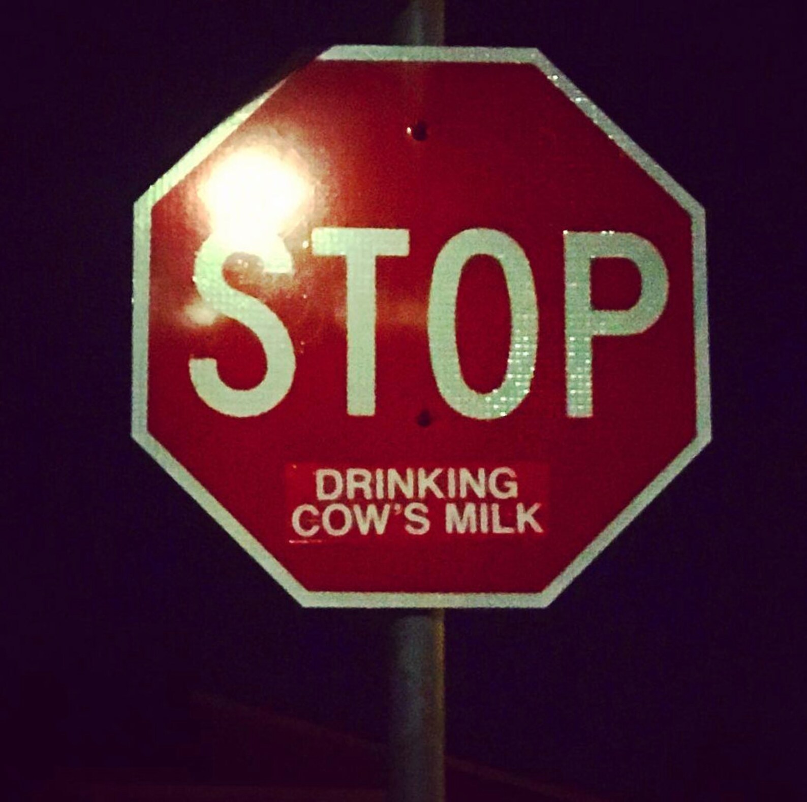 Stop Drinking Cow's Milk Stickers Bulk 1 5 10 20 Pack - Etsy