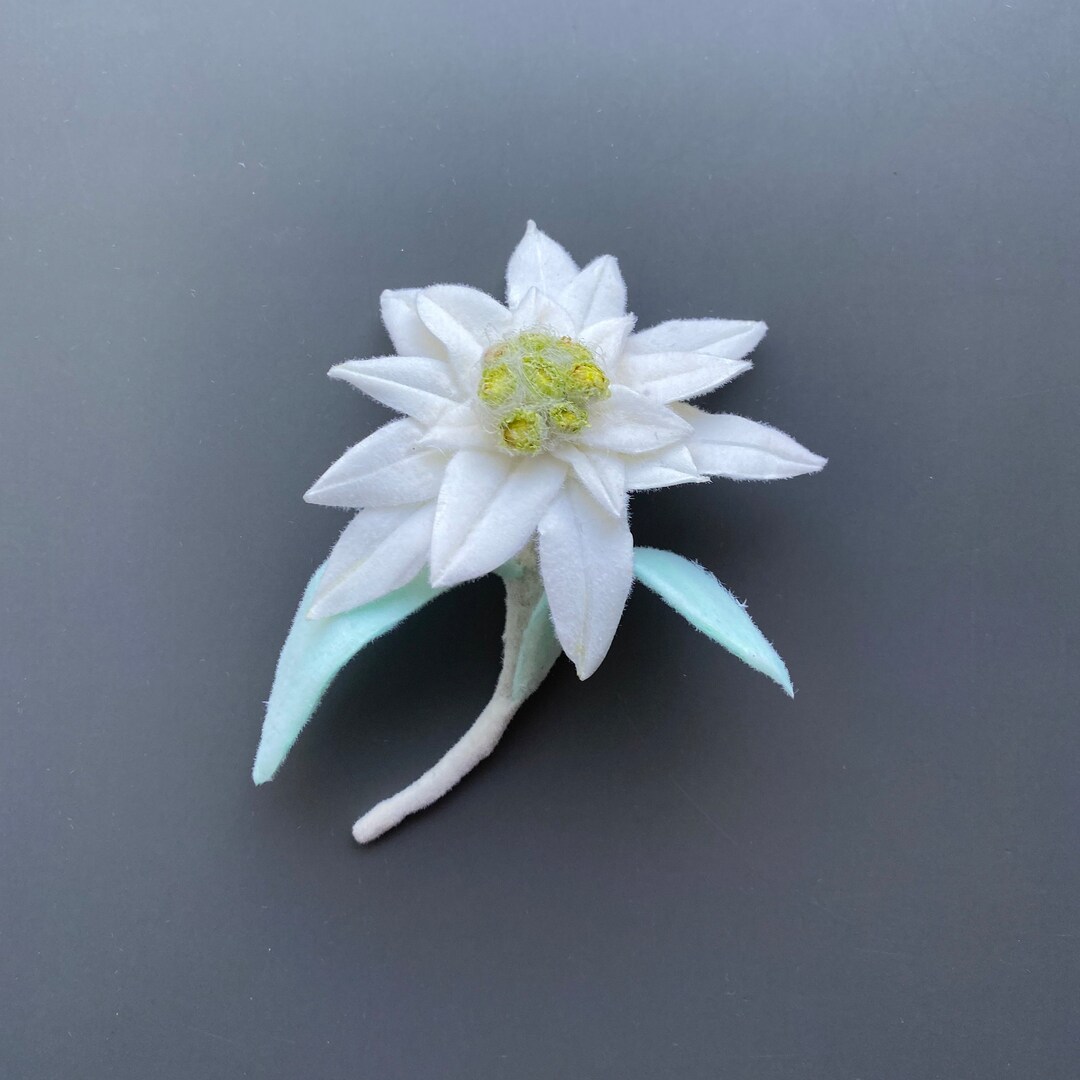 Edelweiss White Buttonhole. Edelweiss Boutonniere Best Man Gift. Men's ...