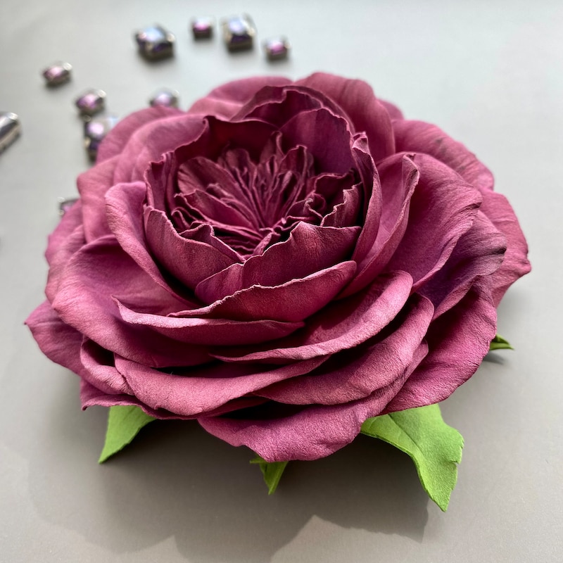 David Austin Roses - Etsy