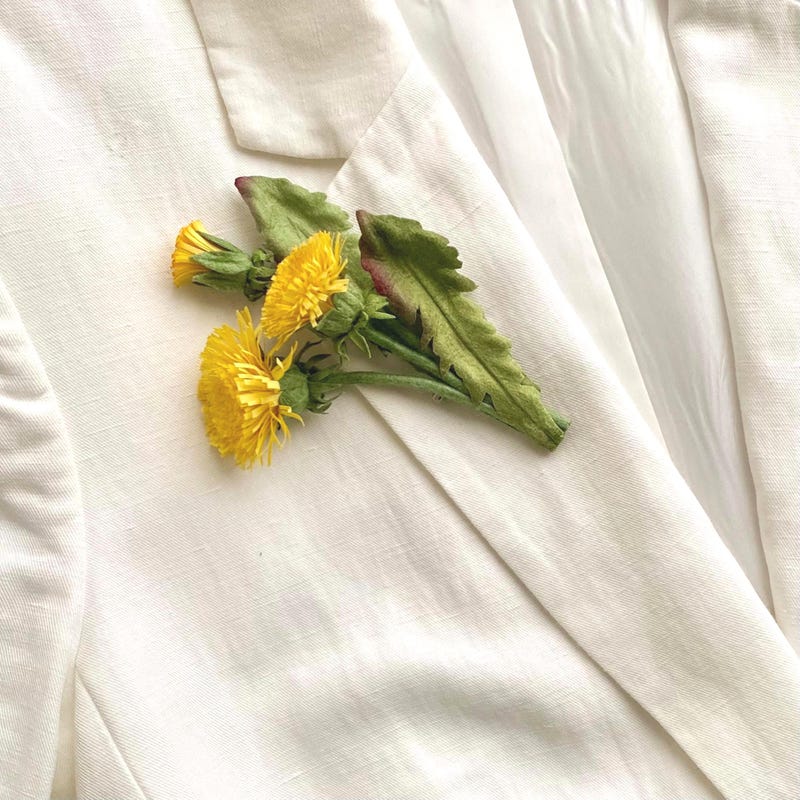 Dandelion Brooch - Etsy