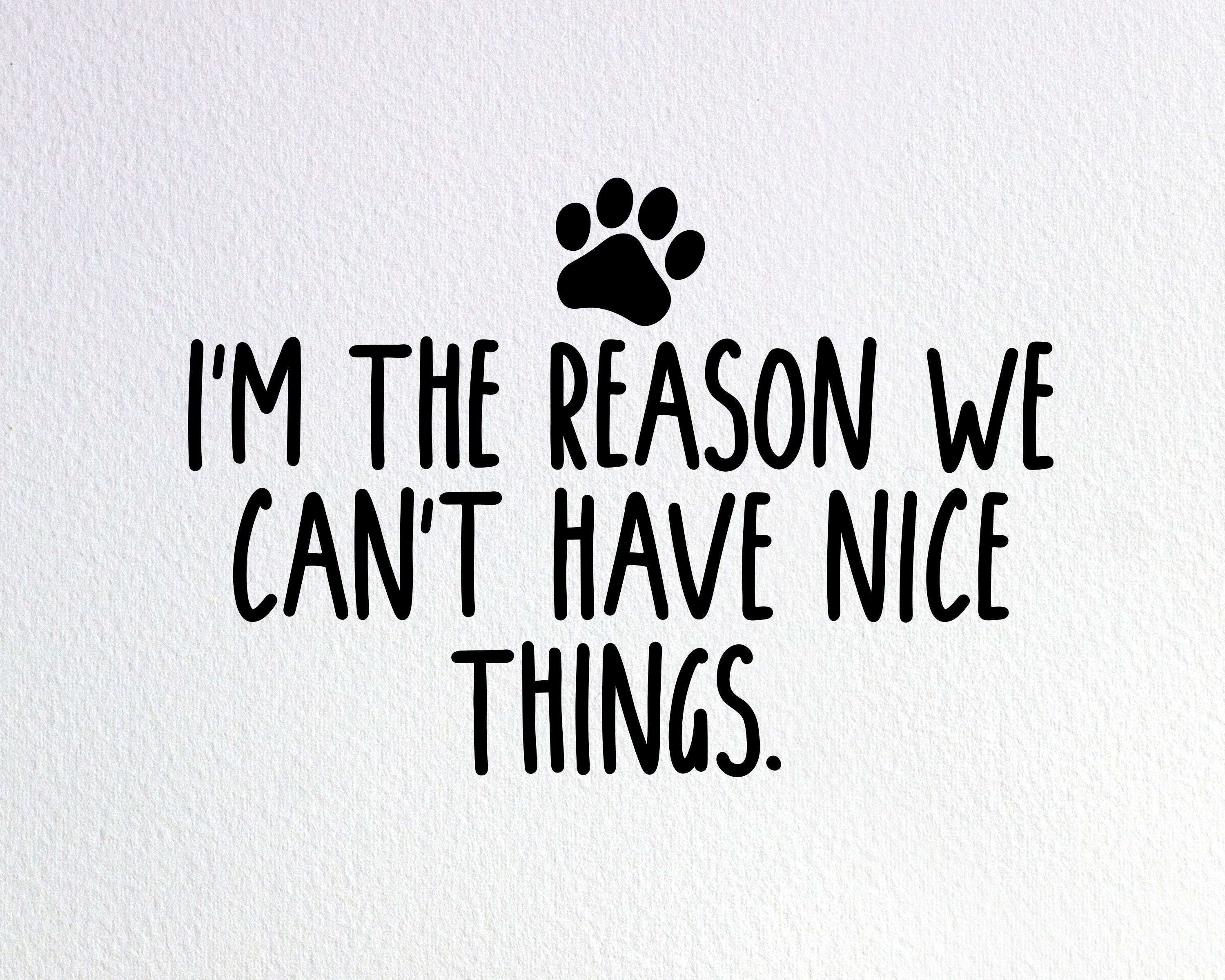 I'm The Reason We Can't Have Nice Things Svg Funny | Etsy