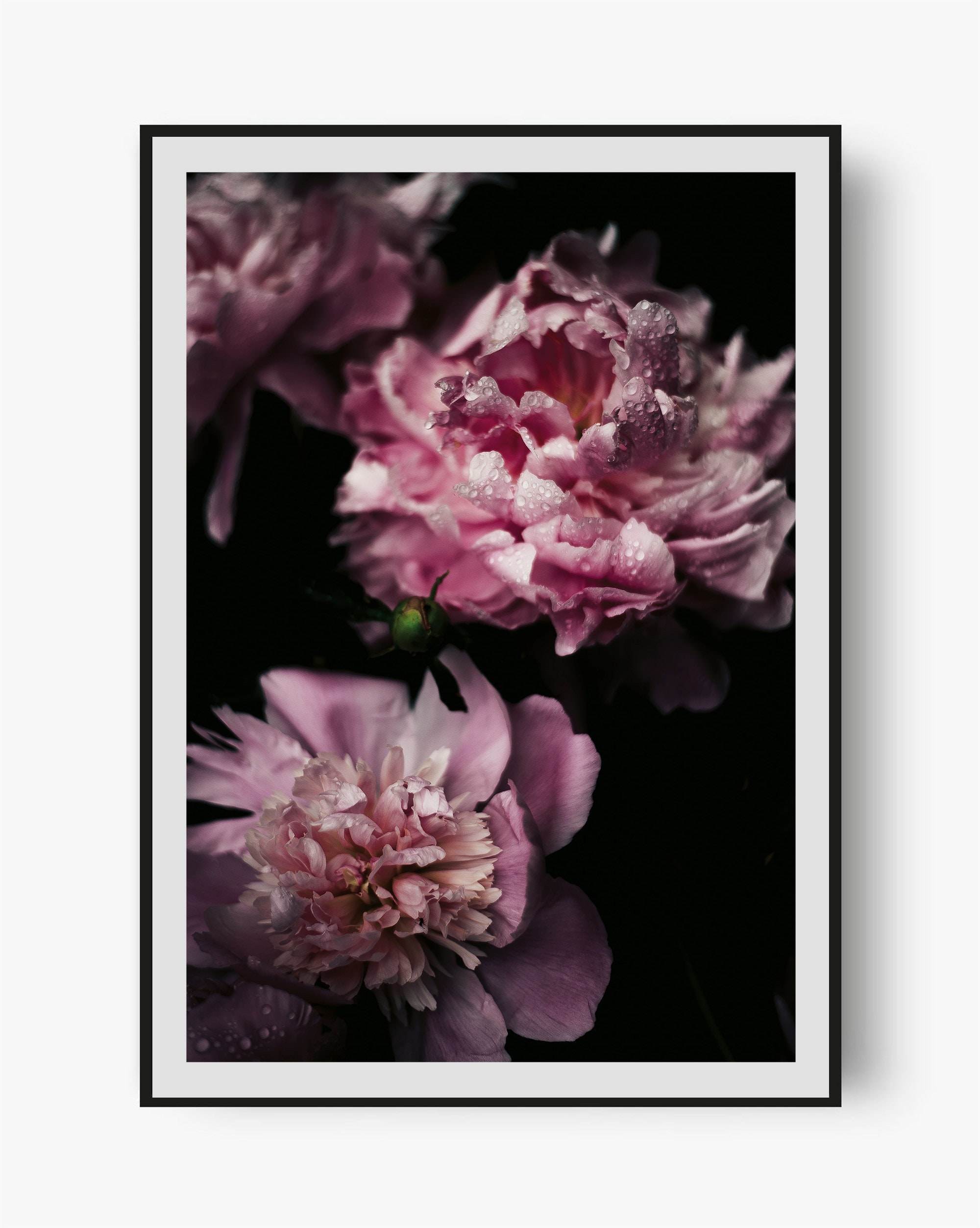 Blush Pink Bloom Digital Print by Lustprint - Pink Flower Poster, Pink ...