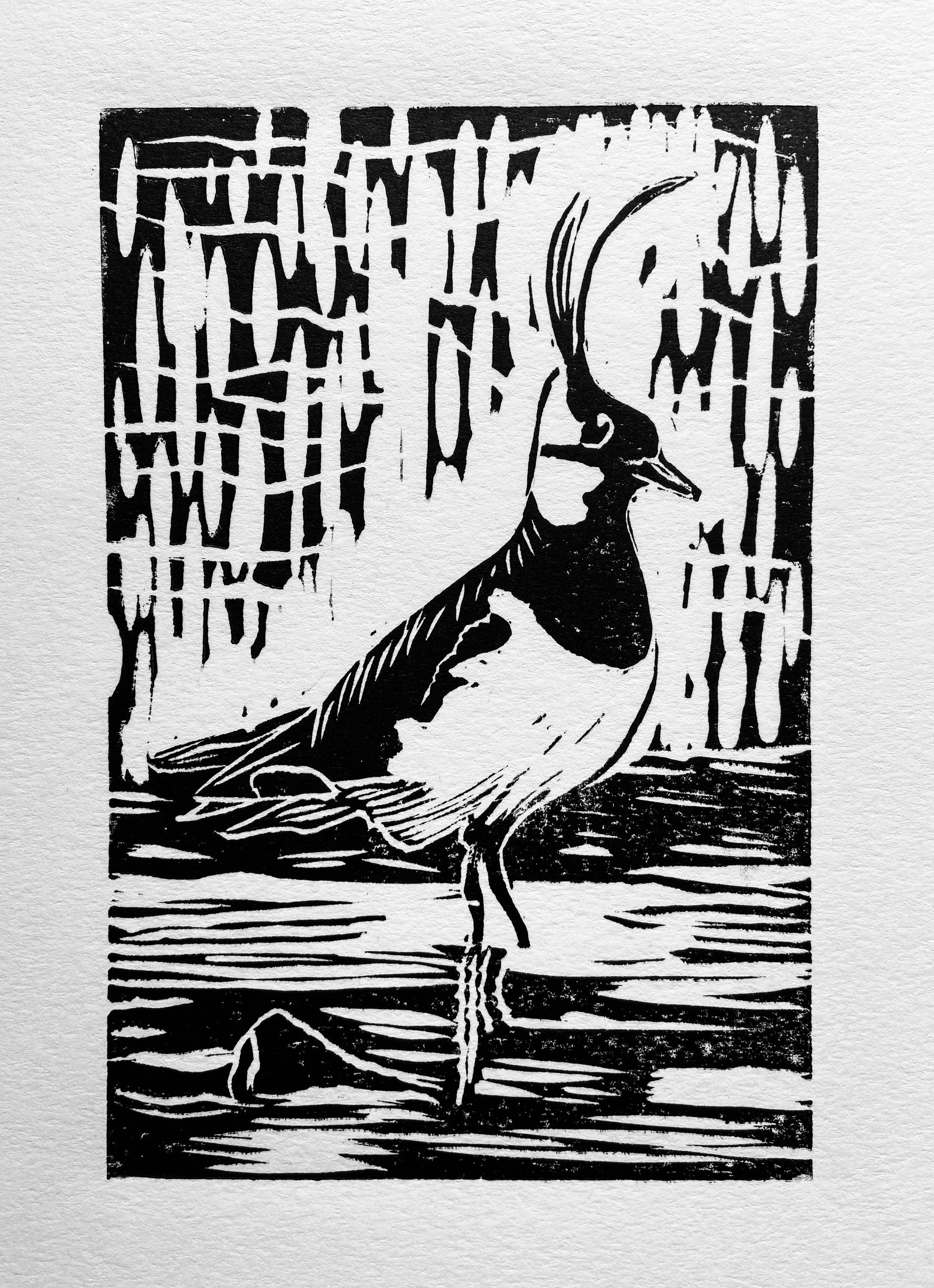 Lapwing - Etsy