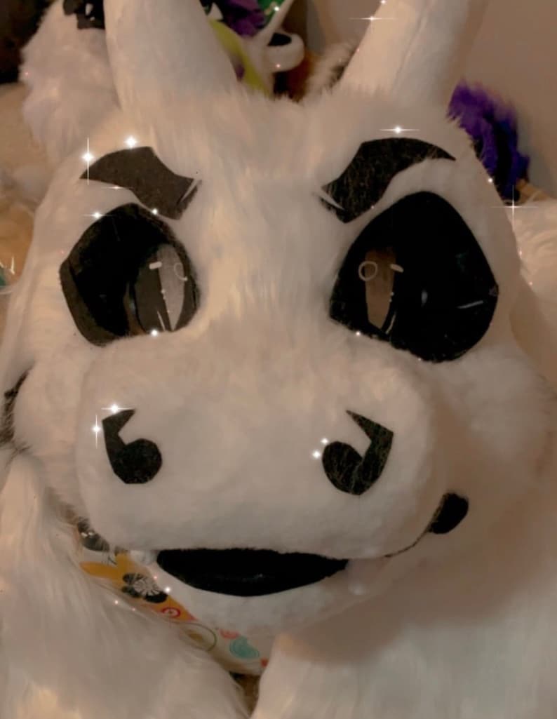 Custom Fursuit Head Commission - Etsy