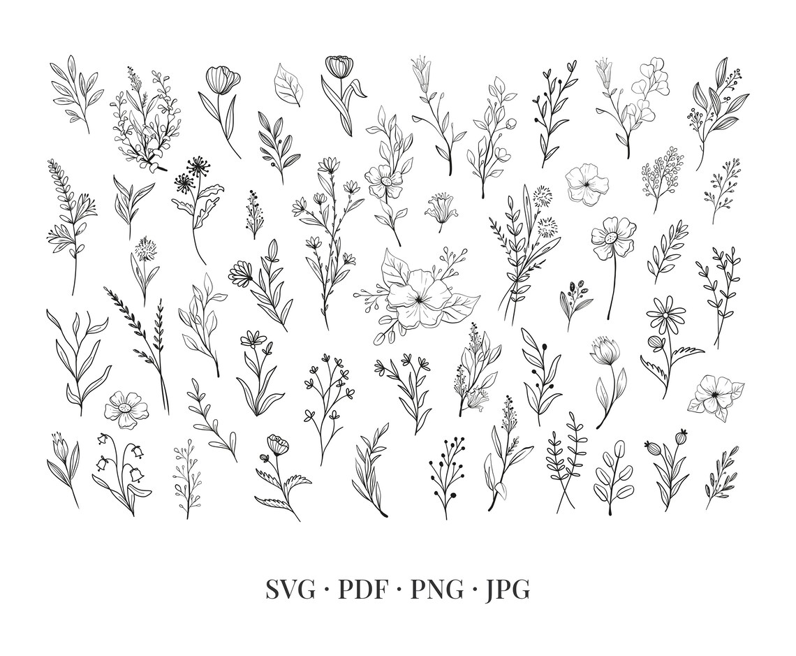 Wild Flowers SVG, Flower Illustration, Floral, Nature, Elements ...