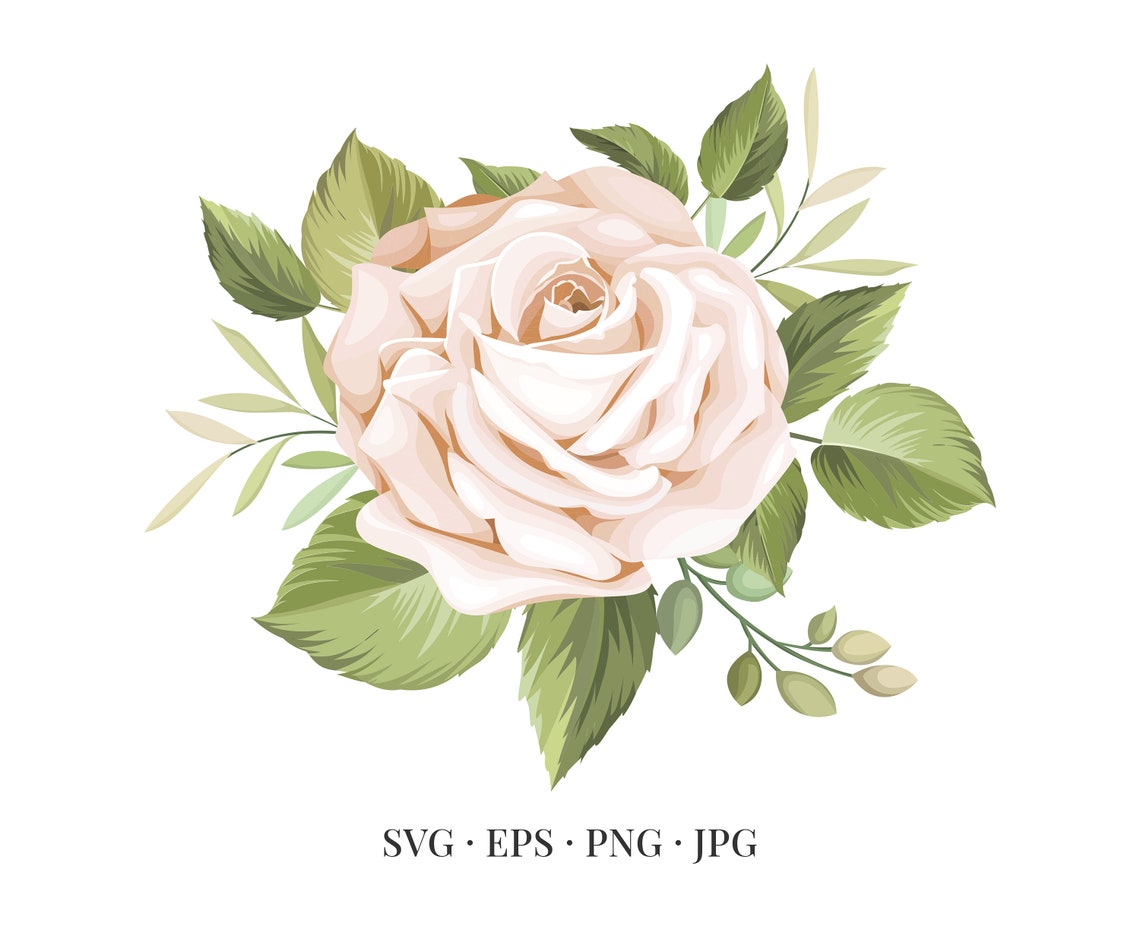 White Rose Bloom Flower Illustration Floral Floristic Watercolor Svg ...