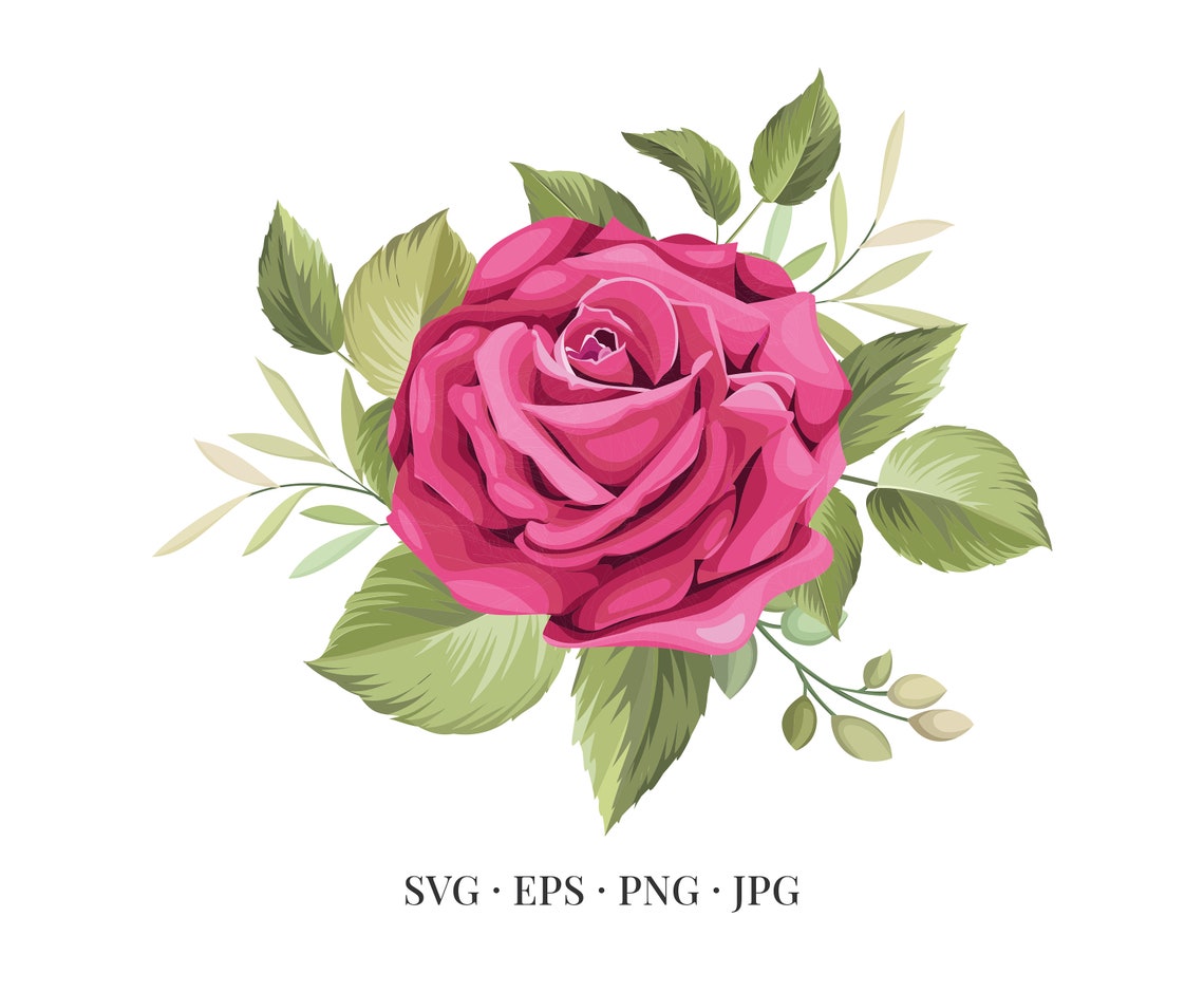 Pink Rose Bloom - Flower Illustration Floral Floristic Watercolor - Svg ...
