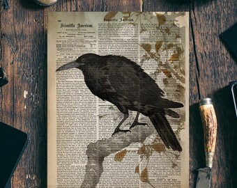 Crow art | Etsy