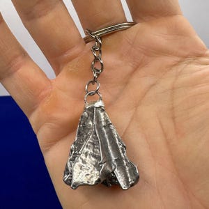 Rare Genuine Aletai Meteorite Keychain, Iron Meteorite, COA, Aletai ...