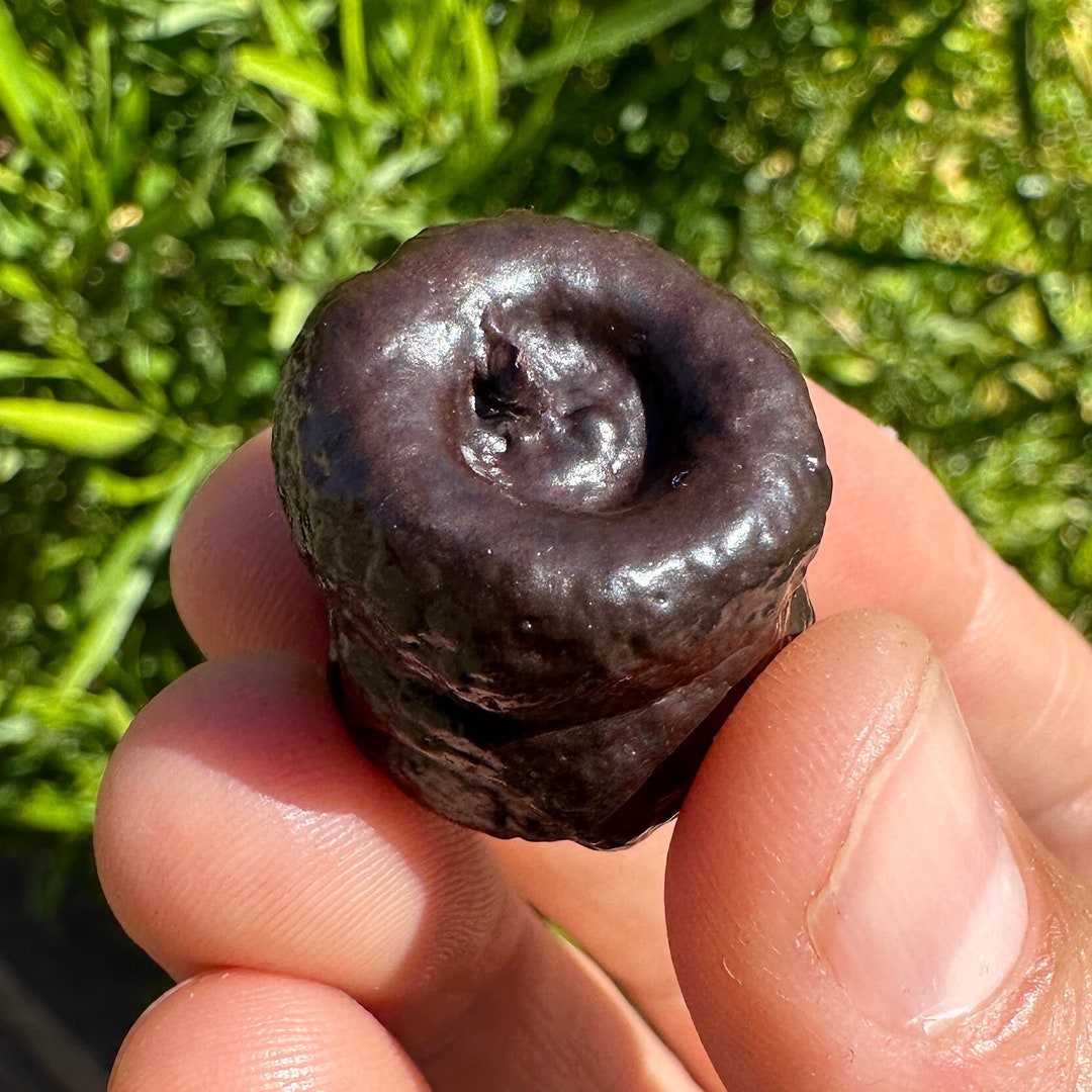 Prophecy Stone From Egypt, Circumpunct Circle, Authentic, Inner Vision ...