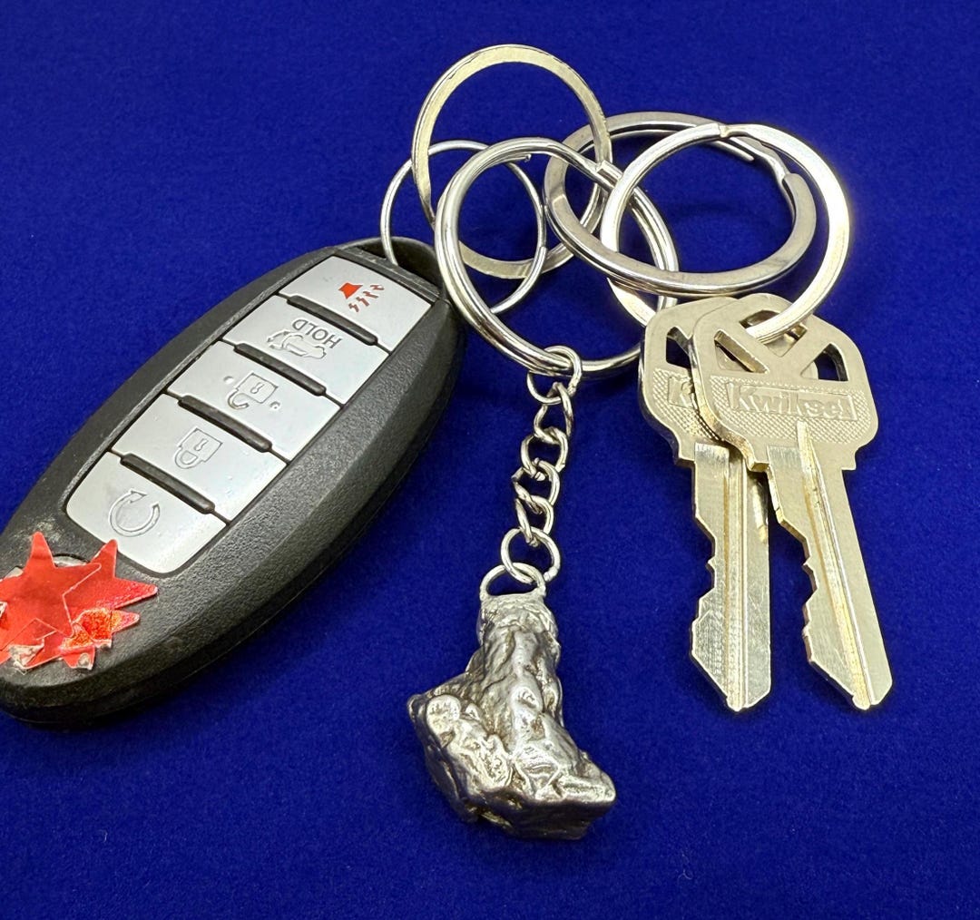 Meteorite Keychain, Campo Del Cielo Meteorite, Cosmic Keychain ...