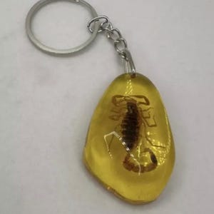 Scorpion Amber Keychain, Scorpion Keychain, Scorpion, Backpack Keychain ...