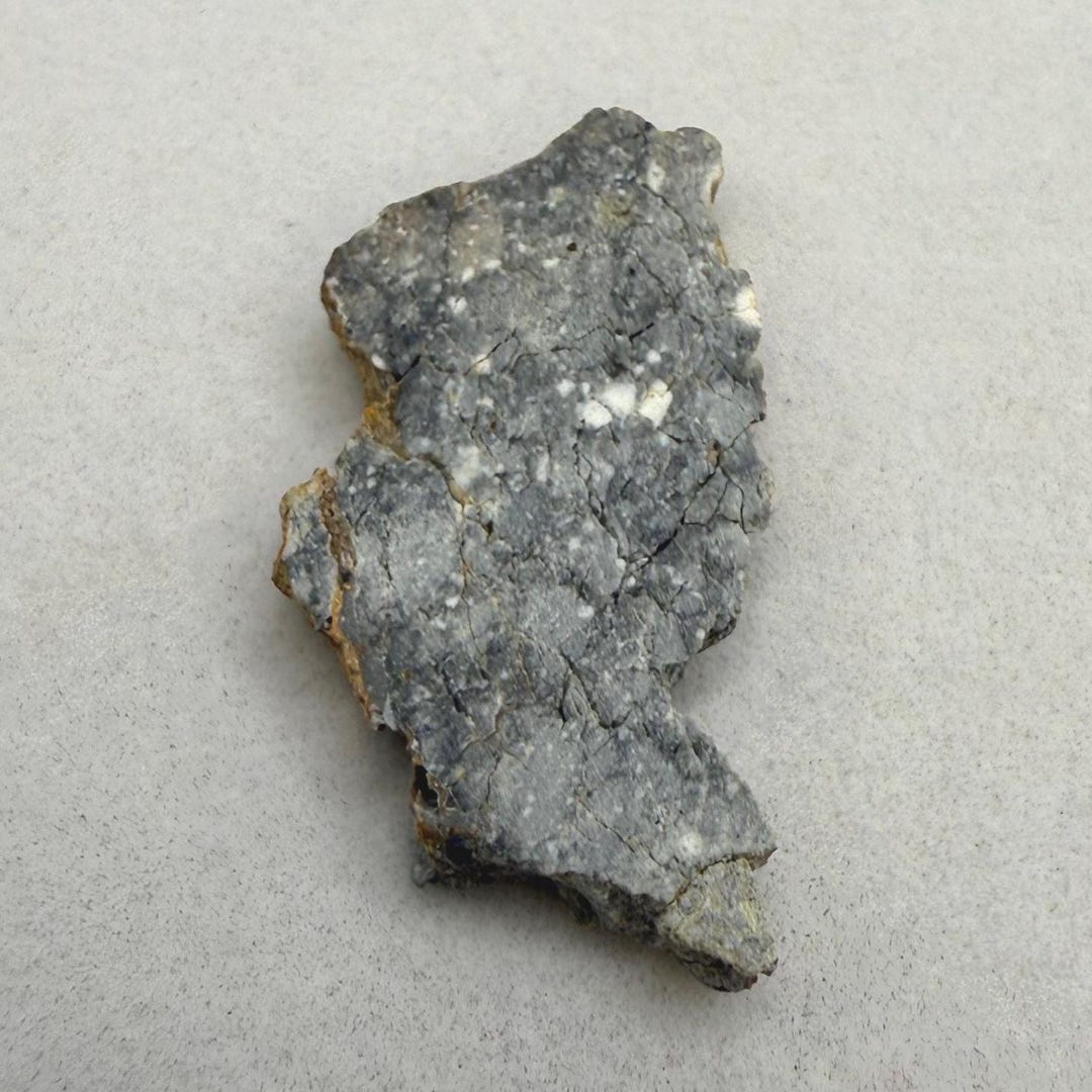 Gadamis 003 Moon/lunar Meteorite Slice, Authentic Lunar Meteorite ...