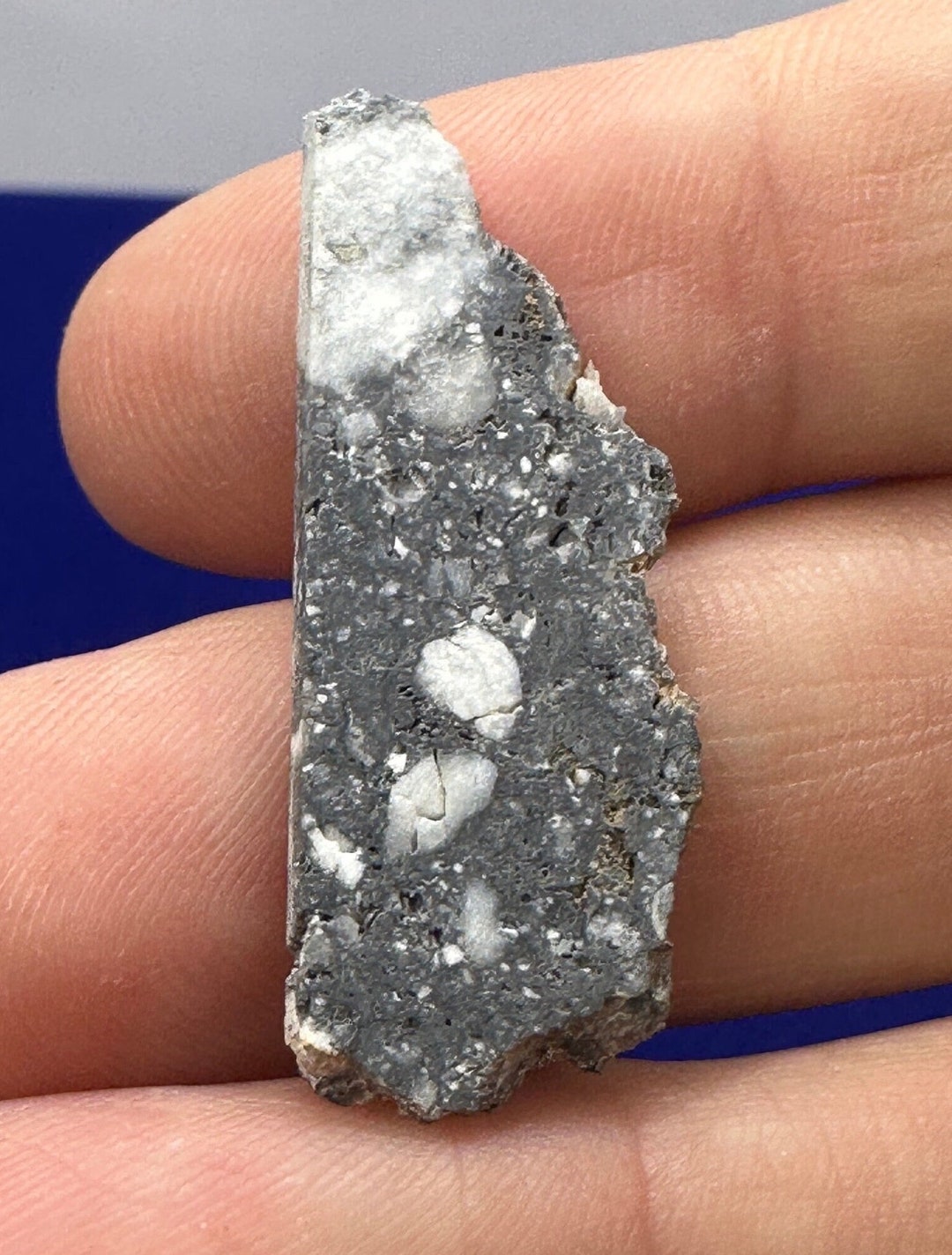 NWA 11898 Moon/lunar Meteorite Slice Feldspathic Breccia - Etsy