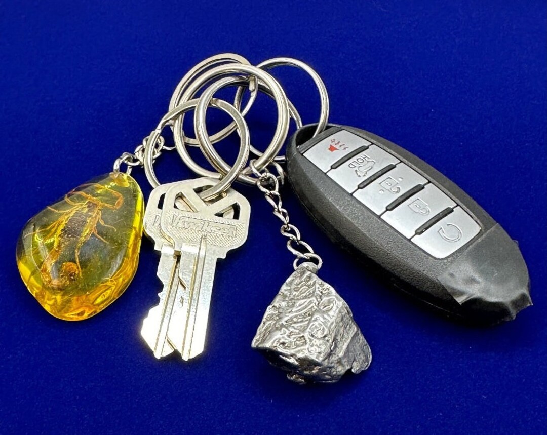 Rare Genuine Aletai Meteorite Keychain, Iron Meteorite, COA, Aletai ...