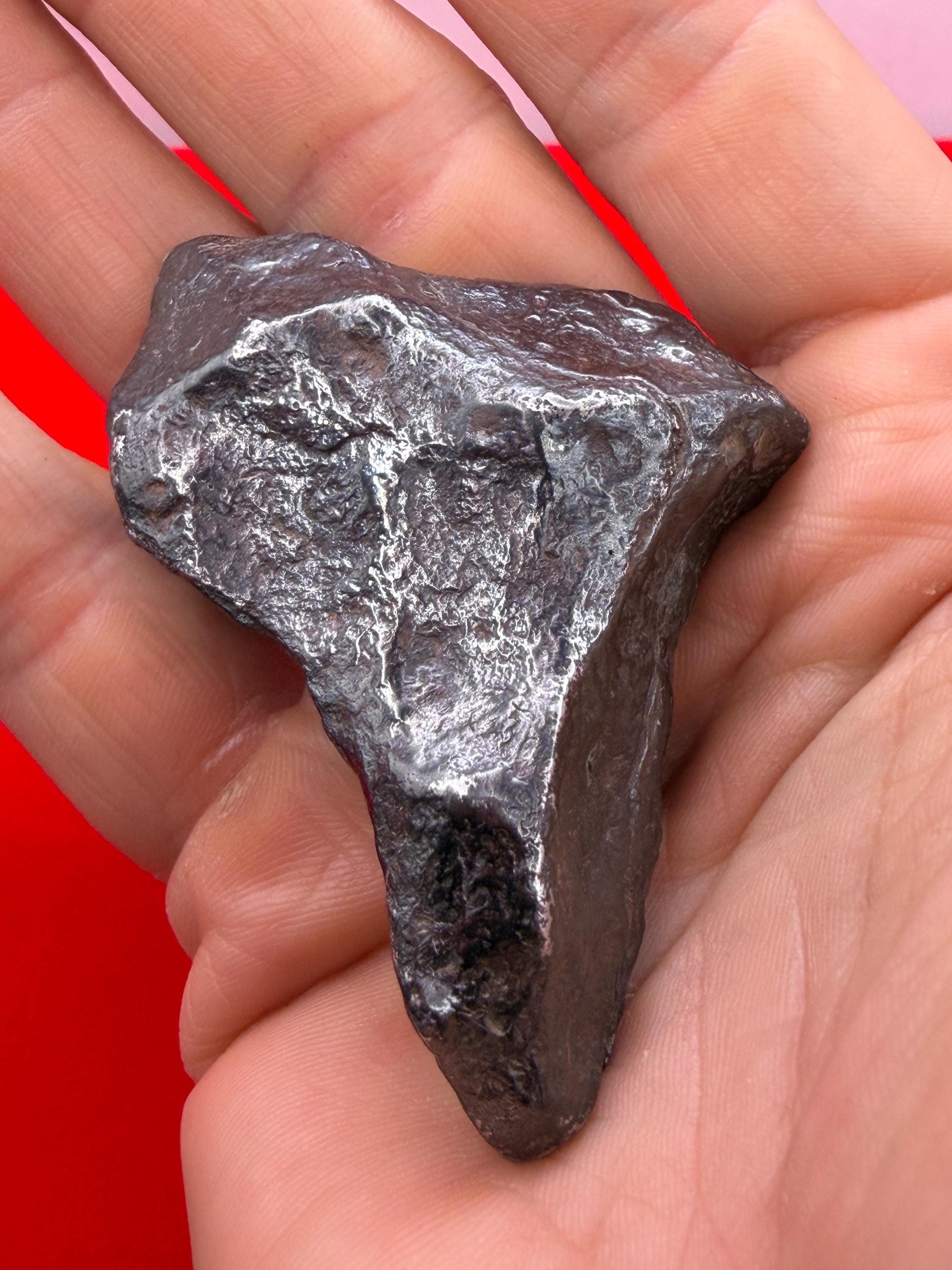 Agoudal Iron Meteorite Specimen: Sculptural Meteorite, Authentic ...