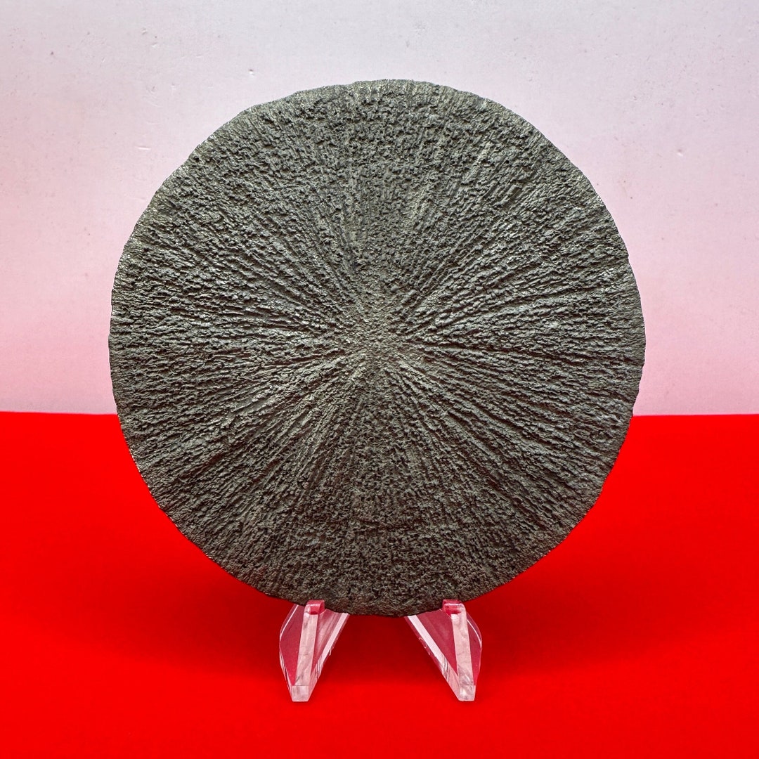 Large Pyrite Sun, Pyrite Dollar, Pyrite, Rock Collection, Sparta ...