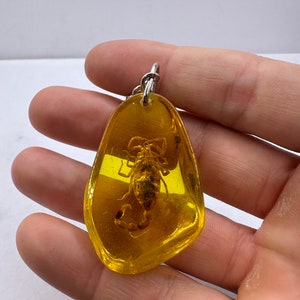 Scorpion Amber Keychain, Scorpion Keychain, Scorpion, Backpack Keychain ...