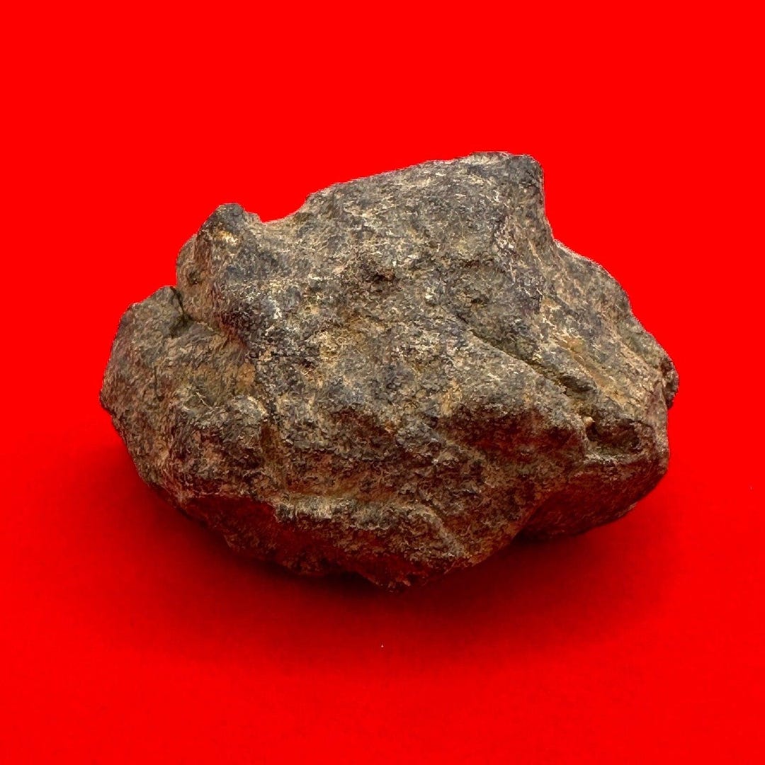 Beautiful Meteorite Al Haggounia 001 Chondrite Stony Meteorite, 32.66 ...