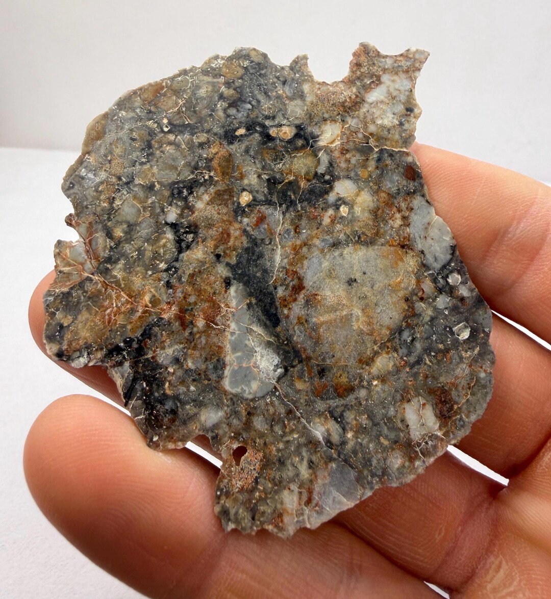 NWA 18045 Lunar Meteorite Slice, Newly Classified, Translucent ...