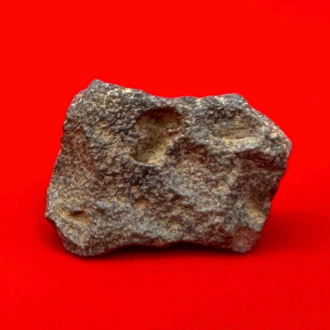 Beautiful Meteorite Al Haggounia 001 Chondrite Stony Meteorite, 8.80 ...