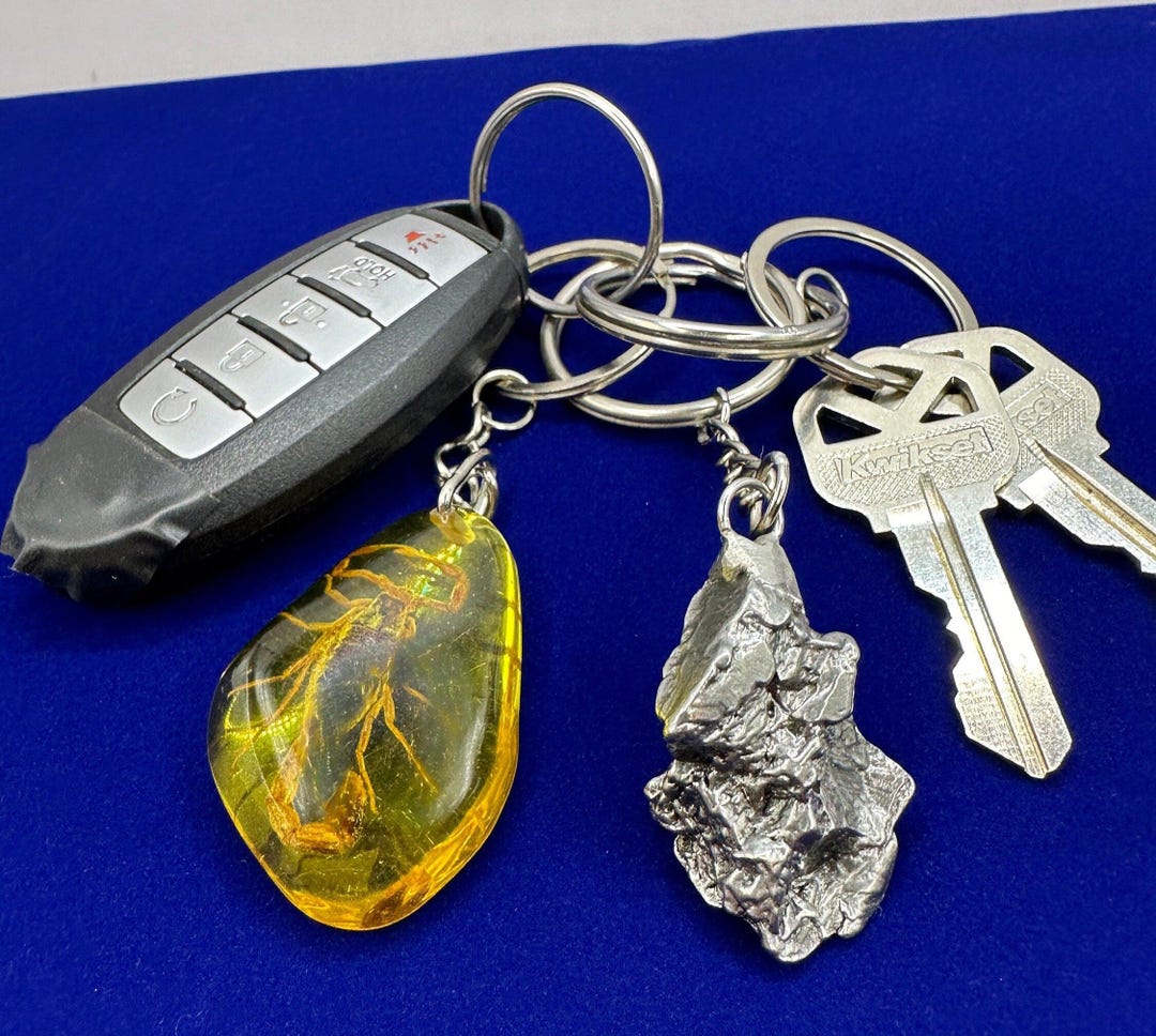 Rare Genuine Aletai Meteorite Keychain, Iron Meteorite, COA, Aletai ...