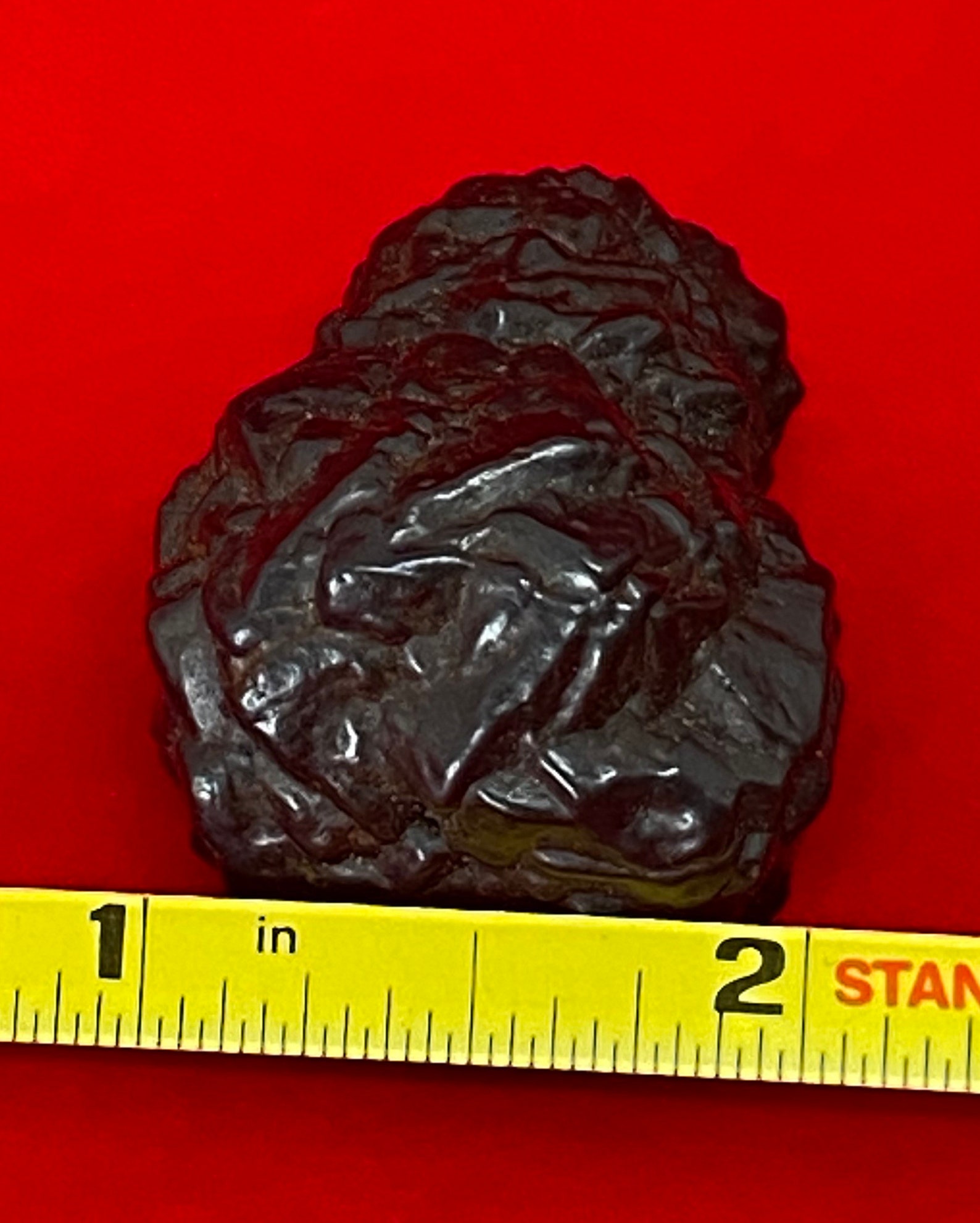 Prophecy Stone From Egypt Inner Vision Rounded Form With - Etsy