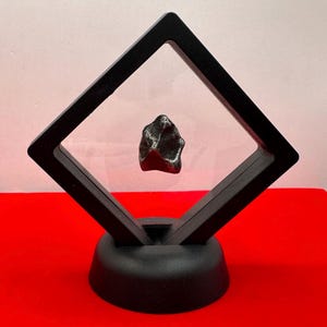 Rare and Unique Agoudal Meteorite Specimen, Grams, Iron Meteorite ...